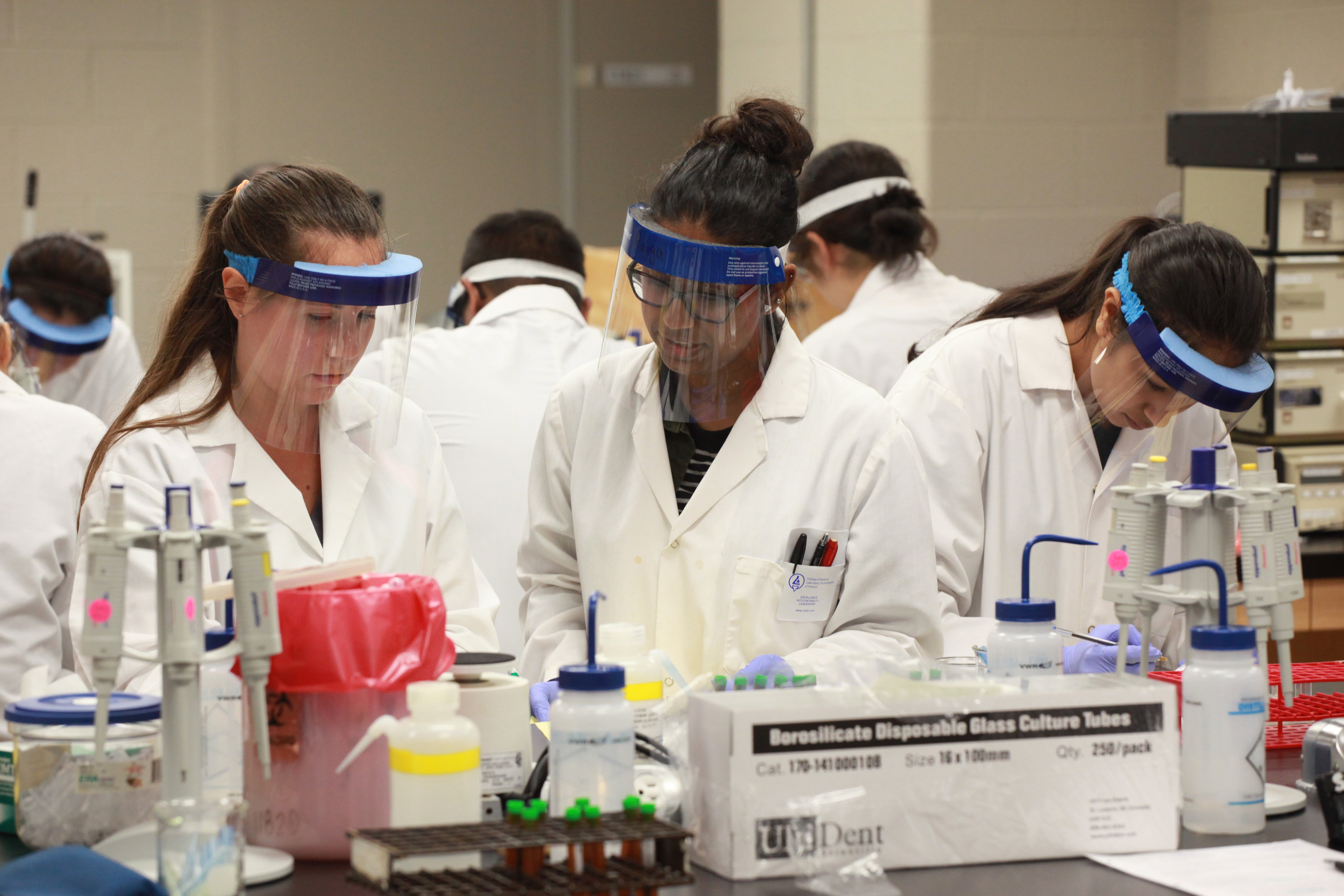 Health Sciences - St Lawrence