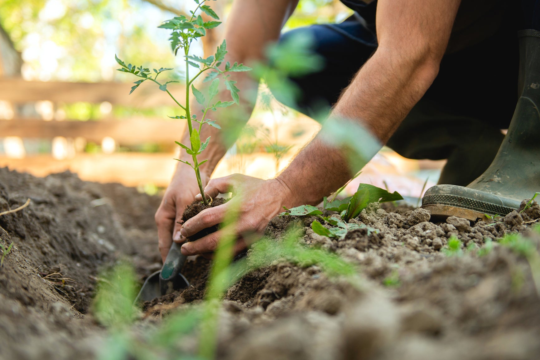 St. Lawrence College to Partner with Community Organizations on ...