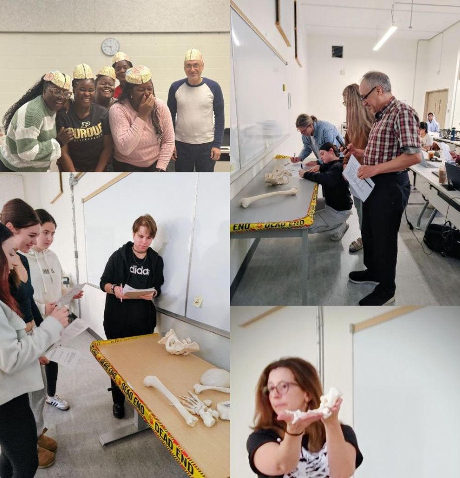 Crime Scene in the Classroom: A Creative Approach to Anatomy Learning ...