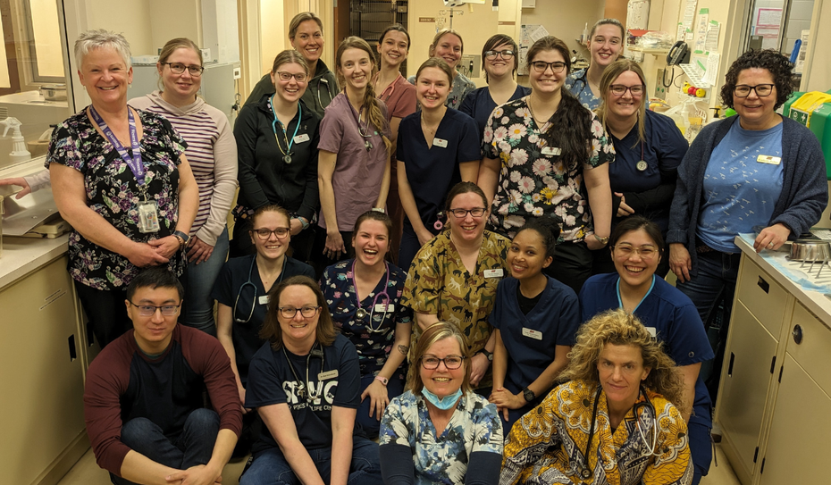 Veterinary Technology Student-Led Rabies Vaccination Clinic A Success ...